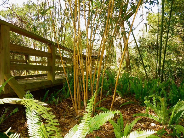 Photos | Bamboo Gardens